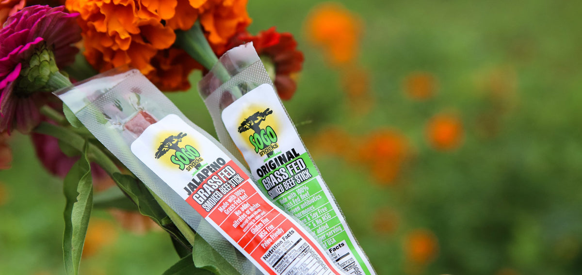 No Sugar Snack Sticks
